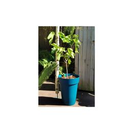 RIVIERA Blumenkasten RIVIERA SOLEILLA &ndash; Kunststoff &ndash; H&ouml;he 53 cm &ndash; Blau