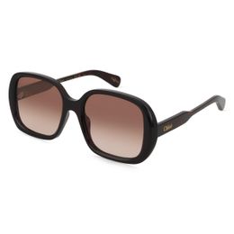 Chlo&eacute; Chlo&eacute; CH0222S | Unisex-Sonnenbrille | Fassung: Vollrand, Quadratisch, Acetat, Havanna | Glasfarbe: Braun