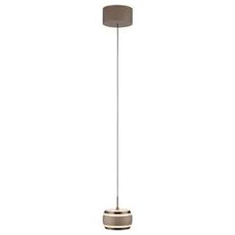 NEUHAUS PURE LED Pendelleuchte "PURE Falling Rings", bronzefarben, schwarz chrome, 1, H: 80cm, 1 Stk., Leuchten, Comfort Lift, CCT, dimmbar, Fernbedienung, Timer, LED Pendelleuchte