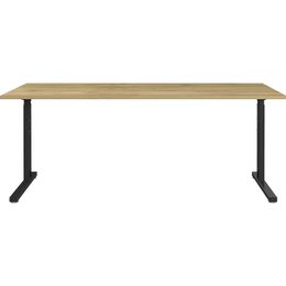 Germania Schreibtisch 4253-582 GW-Profi, in Grandson-Eiche-Nb./Schwarz, me. h&ouml;heneinstellbar, 180 x 80 x 80 cm (BxHxT)