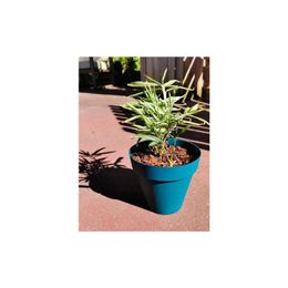 RIVIERA RIVIERA SOLEILLA runder Blumenkasten &ndash; Kunststoff &ndash; Durchmesser 60 cm &ndash; Blau