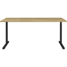 Germania Schreibtisch 4252-582 GW-Profi, in Grandson-Eiche-Nb./Schwarz, me. h&ouml;heneinstellbar, 160 x 80 x 80 cm (BxHxT)
