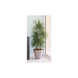 RIVIERA RIVIERA Loft Blumentopf mit Wasserreservoir &ndash; Rund &ndash; &Oslash; 50 x H 46 cm &ndash; Atape