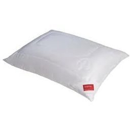 Naturfaserkissen Hefel "Klima Control Comfort Kissen in 40x80 cm, 40x60 cm, 80x80 cm", wei&szlig;, B:80cm H:10cm L:80cm, Bezug: 100% Lyocell (TENCELTM). F&uuml;llung: 100% Polyester, Kopfkissen, Das Kissen, das atmet. Kein Schwitzen.