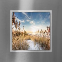 Pro Art Aludibondbild WILDERSTRAND