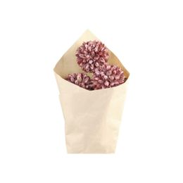 Chic Antique Fleur getrocknete Schneeball Blumen farbig L60 cm, taupe skandinavische Deko Online Shop