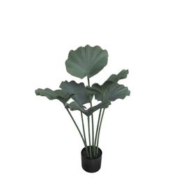 Chic Antique Fleur Strahlenpalme Kunstpflanze H85/&Oslash;18 cm gr&uuml;n skandinavische Deko Online Shop