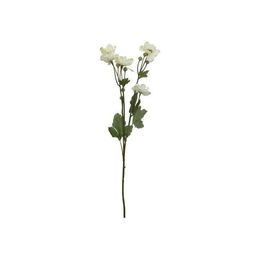 Chic Antique Fleur Butterblume k&uuml;nstlich H72 cm, creme skandinavische Deko Online Shop