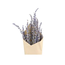 Chic Antique Fleur getrocknete Lavendel Blumen L60 cm, lavendel skandinavische Deko Online Shop
