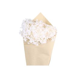 Chic Antique Fleur getrocknete Hortensie Blume L60 cm, creme skandinavische Deko Online Shop