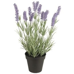 IB Laursen K&uuml;nstliche Lavendelpflanze in Topf H: 40, &Oslash; 18 cm skandinavische Deko Online Shop