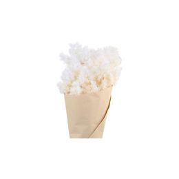 Chic Antique Fleur getrocknete Schleierspargel L50 cm, creme skandinavische Deko Online Shop
