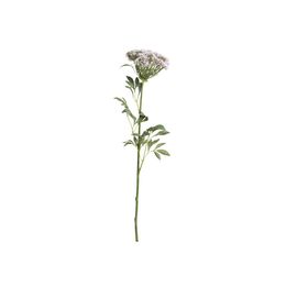Chic Antique Fleur Wilde M&ouml;hre H68,5 cm, rosa skandinavische Deko Online Shop