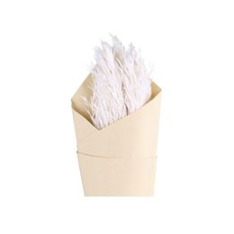 Chic Antique Fleur k&uuml;nstliches Pampasgras L78 cm, creme skandinavische Deko Online Shop