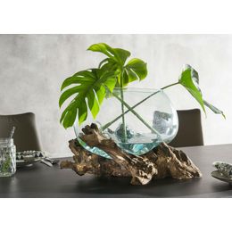 Faktorei Unikat-Dekowurzel mit Glasschale &Oslash; ca. 25 bis 30 cm skandinavische Deko Online Shop