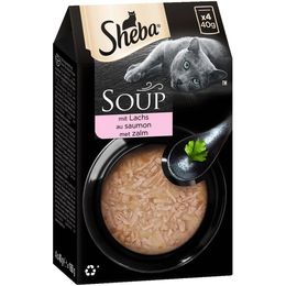 40x40 g SHEBA Soup mit Lachs