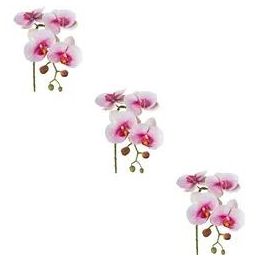 Kunstblume Creativ green "Phalaenopsis 3D-print", lila (wei&szlig;,lila), H:42cm, Obermaterial: 85% Polyester, 15% Polyethylen, Kunstpflanzen, mit Real-Touch-Bl&uuml;ten