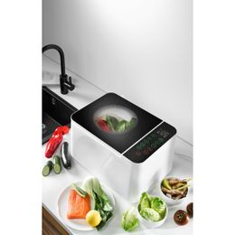 Food Washer