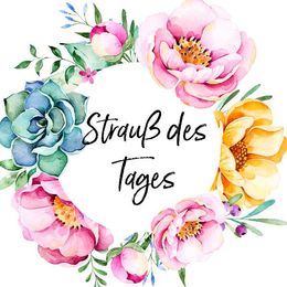 Strau&szlig; des Tages