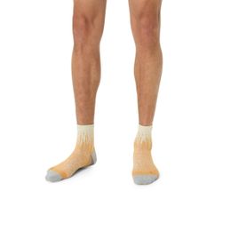 asics Performance Run Quarter Socks Unisex