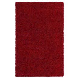 Pharao24.de Hochflor Shaggy Teppich in Rot viele Gr&ouml;&szlig;en - auch L&auml;ufer