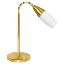 N&auml;ve N&Auml;VE LED Tischleuchte "Gola", gold (messingfarben matt), 1, H: 40cm, 1 Stk., Leuchten, Messingleuchte mit LED Leuchtmittel, LED Tischleuchte
