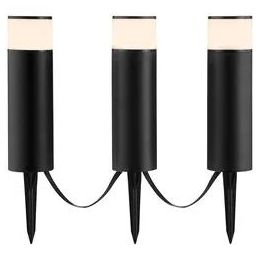LED Gartenleuchte Brilliant "Dody", schwarz, wei&szlig;, H:38cm &Oslash;:7cm, Leuchten, LED Gartenleuchte, LED Gartenspie&szlig; 3er Set, dimmbar, RGB, CCT, IP44, App steuerbar