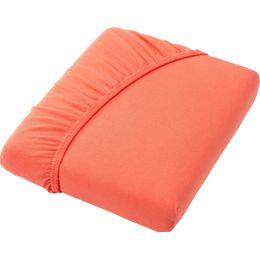 w&auml;schepur unisex Spannbetttuch mandarine, Gr&ouml;&szlig;e 1 St. 100x200 cm