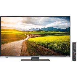 Ten Haaft Oyster TV LED Fernseher 21,5 " - Fernseher von Ten Haaft GmbH