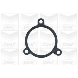 Graf Wasserpumpe pa369 f&uuml;r BMW