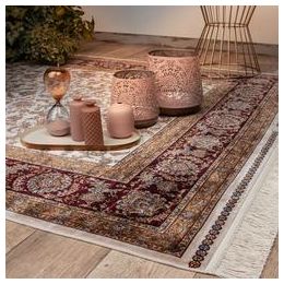 Teppich Kayoom "Babil 310", braun (creme), B:160cm H:8mm L:230cm, Modal, Teppiche, Teppich, Kurzflor, Orient, Modernes Muster, Deko, Fu&szlig;bodenheizungsgeeignet