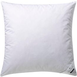 G&auml;nsefederkopfkissen Billerbeck "Ginnie 30, Kissen ist Allergiker freundlich (Hausstauballergiker)", wei&szlig;, B:80cm L:80cm, Bezug: 100% Baumwolle. F&uuml;llung: 70% G&auml;nsefeder, 30% G&auml;nsedaunen, Kopfkissen, Das G&auml;nsedaunenkissen f&uuml;r h&ouml;chsten Schlafkomfort