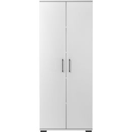Germania Aktenschrank 4250-69 GW-Profi, in Lichtgrau, mit Metallgriffen, 80 x 200 x 40 cm (BxHxT)