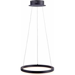 Paul Neuhaus Pendelleuchte "TITUS", grau (anthrazit), 1, &Oslash; 40cm, 1 Stk., Leuchten, LED, dimmbar, Simply Dim, Memory, nach Trennung vom Netz, Pendelleuchte