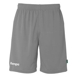 Shorts Kempa "Shorts Team", Herren, Gr. XL, US, grau (steingrau), Obermaterial: 100% Polyester Pol. recyc.., Hosen Shorts