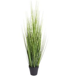 Kunstgras BOTANIC-HAUS "Gras Festuca", gr&uuml;n, B:30cm H:86cm T:30cm &Oslash;:30cm, Kunststoff, Kunstpflanzen