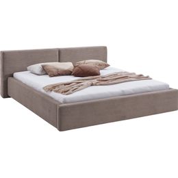 Meise M&ouml;bel Polsterbett MEISE.M&Ouml;BEL "Cube wahlweise mit Matratze und Bettkasten", grau (taupe, taupe), B:220cm L:227cm, Betten, Polsterbett, extra flaches Kopfteil, erh&auml;ltlich in den Breiten 140cm, 160cm & 180cm