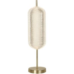 Searchlight LED Tischleuchte "Kapsel-LED-Tischleuchte, Satiniertes Messing & Acryl", Energieeffizienz: F (A-G), satinmessingfarben, klar, H: 60cm, 1 Stk., Leuchten, LED Tischleuchte