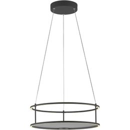 Paul Neuhaus LED Pendelleuchte "CONNI", schwarz, 2, &Oslash; 50cm H: 60cm, 1 Stk., Leuchten, Touchdimmer, separat schaltbar, Memoryfunktion, Deko-Ablagefl&auml;che, LED Pendelleuchte