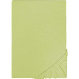 Spannbettlaken Biberna "Leila", gr&uuml;n (pistaziengr&uuml;n), L:200cm, Jersey, Obermaterial: 100% Baumwolle, Bettlaken, Spannbettlaken, Bettlaken aus 100% Baumwolle, f&uuml;r Matratzenh&ouml;hen bis 22 cm