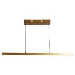 Searchlight LED-H&auml;ngeleuchte "H&auml;ngeleuchte Layla, 1-flammig", gold, 1, H: 10cm, 1 Stk., Leuchten, H&ouml;henverstellbar auch in Betrieb
