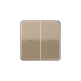Jung Wippe Symbole gold brz f&uuml;r Taster CD 595 P GB (CD595PGB)