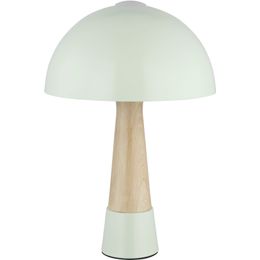 NOWA Tischleuchte "PAULIN", gr&uuml;n (gr&uuml;n matt), 1, &Oslash; 25cm H: 36,5cm, 1 Stk., Leuchten, Tischlampe, Design Leuchte, Tischleuchte