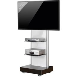 Vcm TV Standfu&szlig; aufgebaut 32-70 Zoll bis 50 kg VESA max. 600x400 Fernsehwagen St&auml;nder TV Bodenst&auml;nder Fach abschlie&szlig;bar Ma&szlig;e ca. H. 168 x B. 70 x T. 65 cm Rollwagen mit Fachboden ProStand