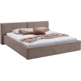 Meise M&ouml;bel Polsterbett MEISE.M&Ouml;BEL "Cube wahlweise mit Matratze und Bettkasten", grau (taupe, taupe), B:200cm L:227cm, Betten, Polsterbett, extra flaches Kopfteil, erh&auml;ltlich in den Breiten 140cm, 160cm & 180cm