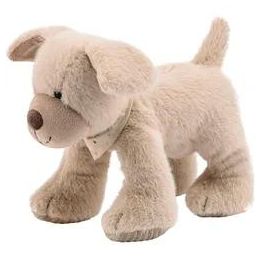 Kuscheltier Sterntaler "Hund Lucky, M", grau (graubeige), Pl&uuml;schfiguren, KinderH:21cm, Flausch, Kuscheltier, H:21cm