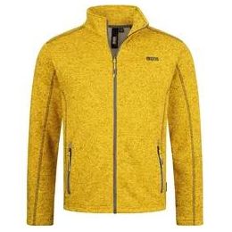 Fleecejacke DEPROC ACTIVE "YORKTON V MEN", Herren, Gr. 6XL (64), gelb, 100% Polyester, bequem, gerader Abschluss mit Gummizug, Jacken Fleecejacke, weiche Fleecejacke in traditioneller Optik