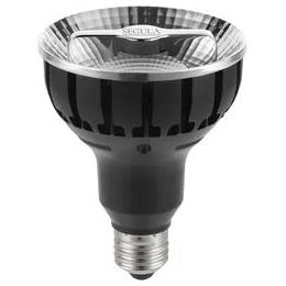 Segula LED-Leuchtmittel "PAR30 Reflektor 36 Ambient dimming", Energieeffizienz: G (A-G), schwarz, L:120cm &Oslash;:100cm, Leuchtmittel, LED Reflektor 36 Ambient PAR30, E27, 13W, 2000-3000K, schwarz