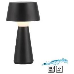 JUST LIGHT Tischleuchte "ABERA", schwarz, 1, &Oslash; 16cm H: 28,9cm, 1 Stk., Leuchten, Akkuleuchte, Tischleuchte