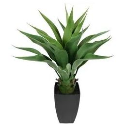 Kunstpflanze I.GE.A. "K&uuml;nstliche Agave im Topf Pflanze Aloe Vera Sansevieria", gr&uuml;n, B:40cm H:70cm L:40cm, Kunststoff, Kunstpflanzen, Kunstpflanze, Gr&uuml;npflanze Zimmerpflanze Palme